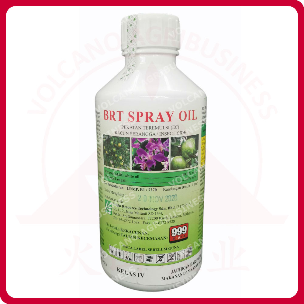 Hibiscus/Bunga Raya – Volcano Agribusiness Sdn. Bhd.