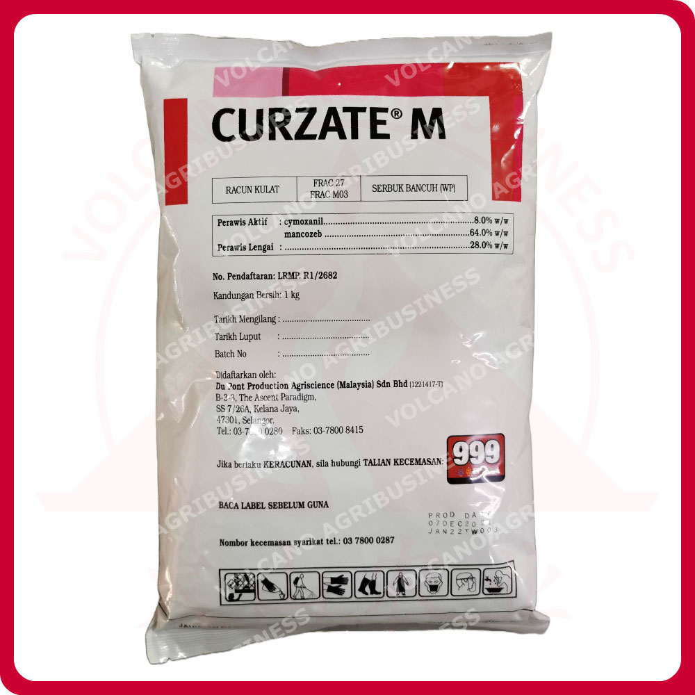 Taro Leaf Blight/Hawar Daun (Phytophthora colocasiae) – Volcano Agribusiness Sdn. Bhd.